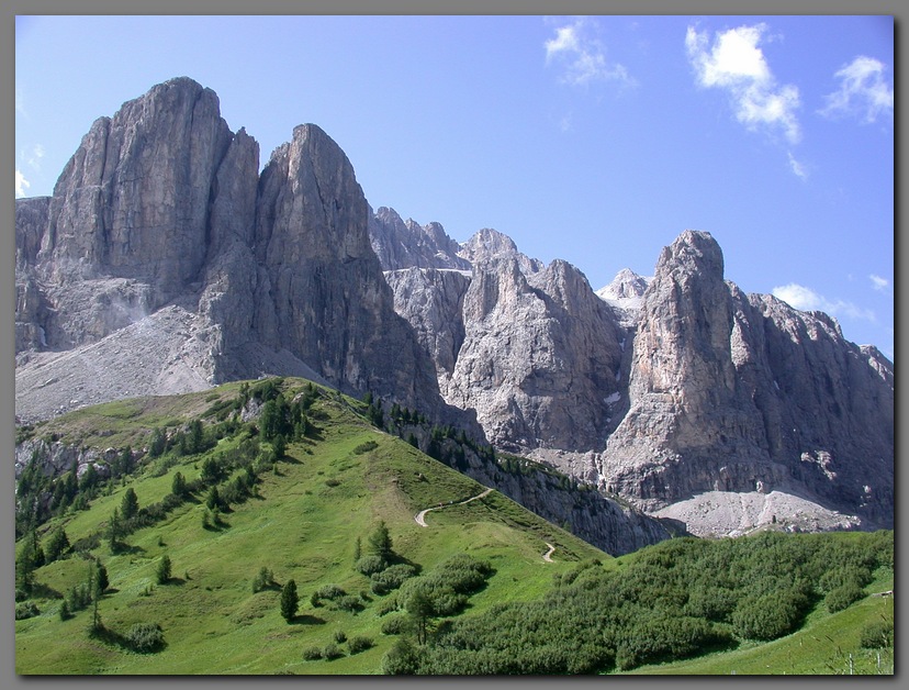 Scottish Rock Garden Club - >Feature Article