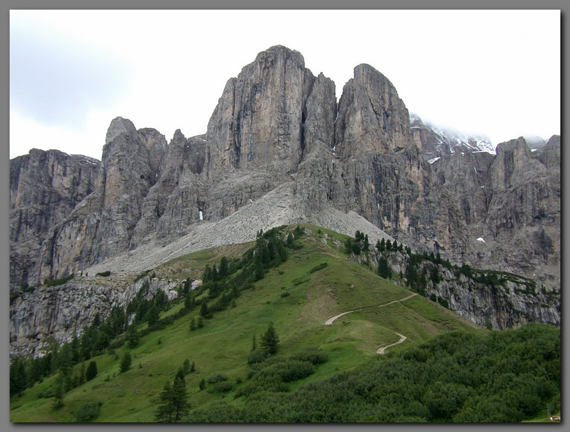 Scottish Rock Garden Club - >Feature Article