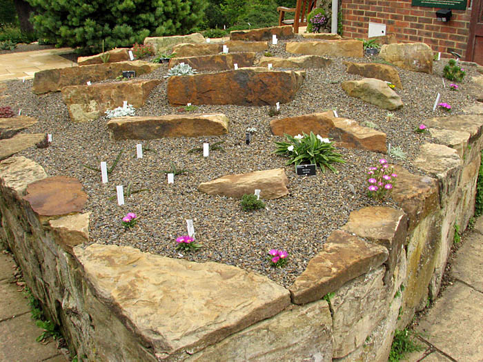 Scottish Rock Garden Club - >Wisley Alpine Log
