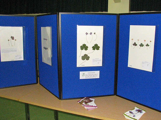 Scottish Rock Garden Club - >Wisley Alpine Log