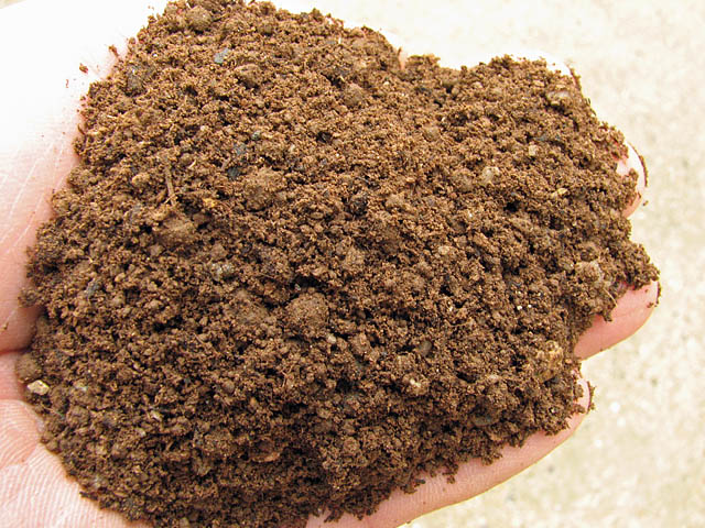 Scottish Rock Garden Club - >Wisley Alpine Log